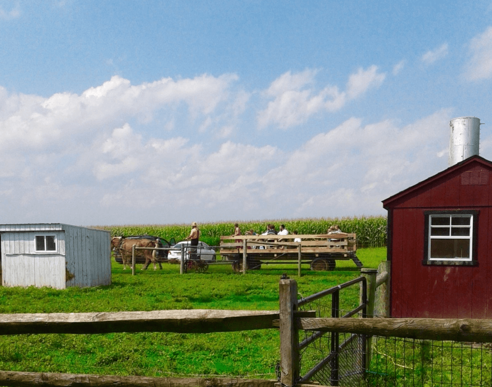 Old Windmill Farm – tagline